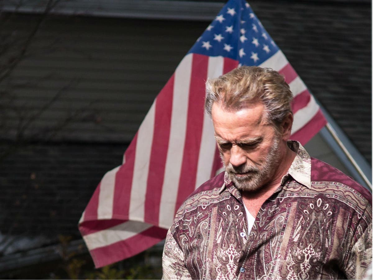 How Politics Ruined Arnie the Action Hero: As action star, politician ...