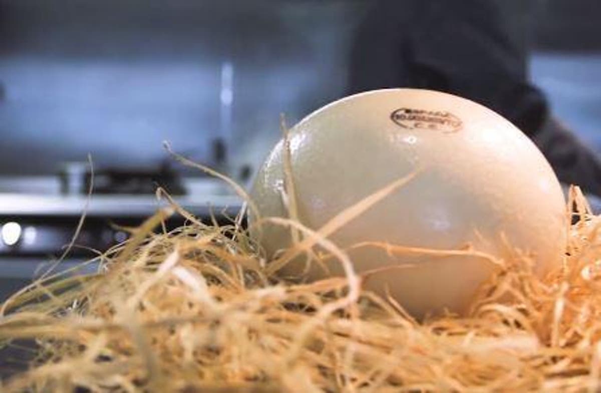 How to cook an ostrich egg | The Independent | The Independent