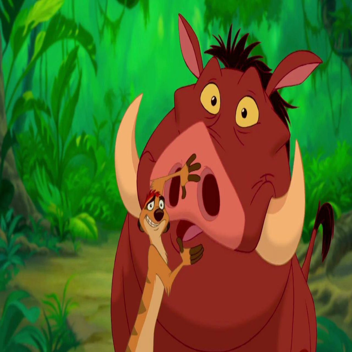 Lion King Timon And Pumbaa Download Timon And Pumbaa Cartoon