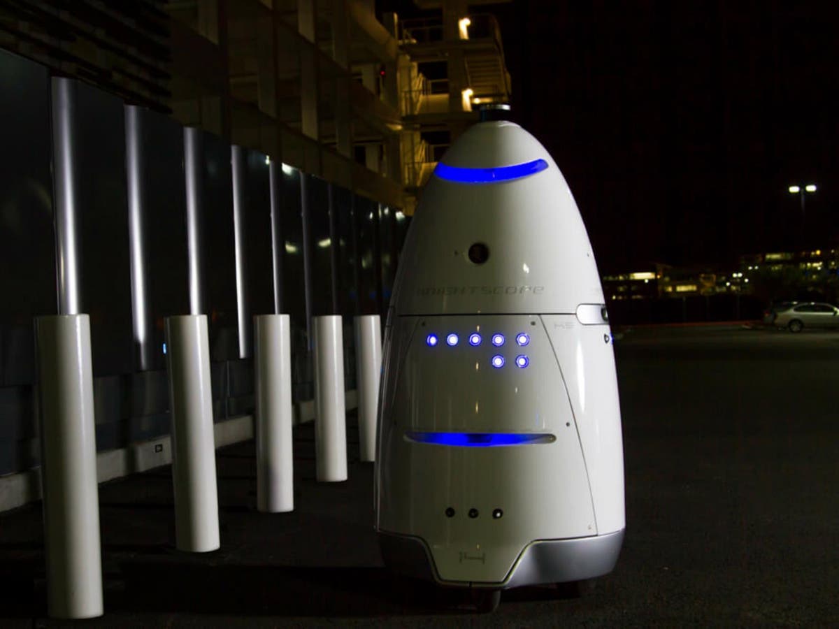 Robot 'assaulted' by drunk man helps police arrest him | The ...