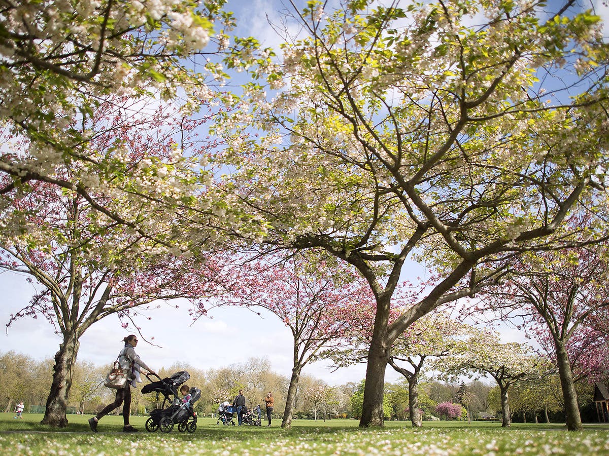 Nasa says April was world's second hottest in the 137 years on record ...