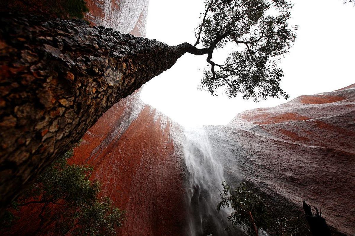 Uluru's waterfalls: The side only only 1% of visitors see | The ...