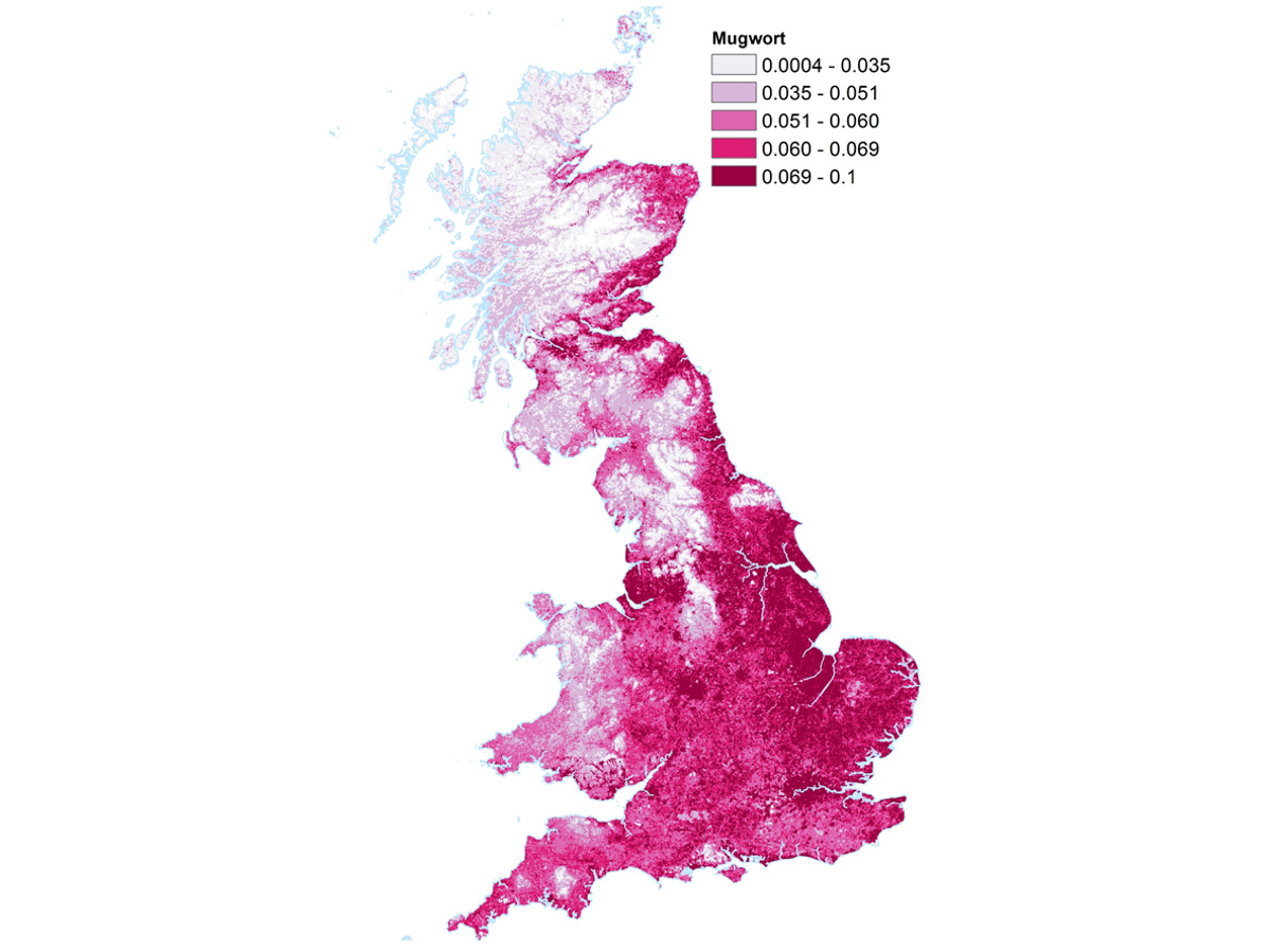 Hay fever maps: Which areas to avoid where the pollen concentrations ...