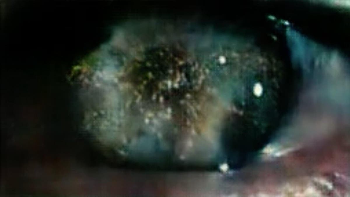 Blade Runner, autoencoded: The strange film that sums up our fears of ...