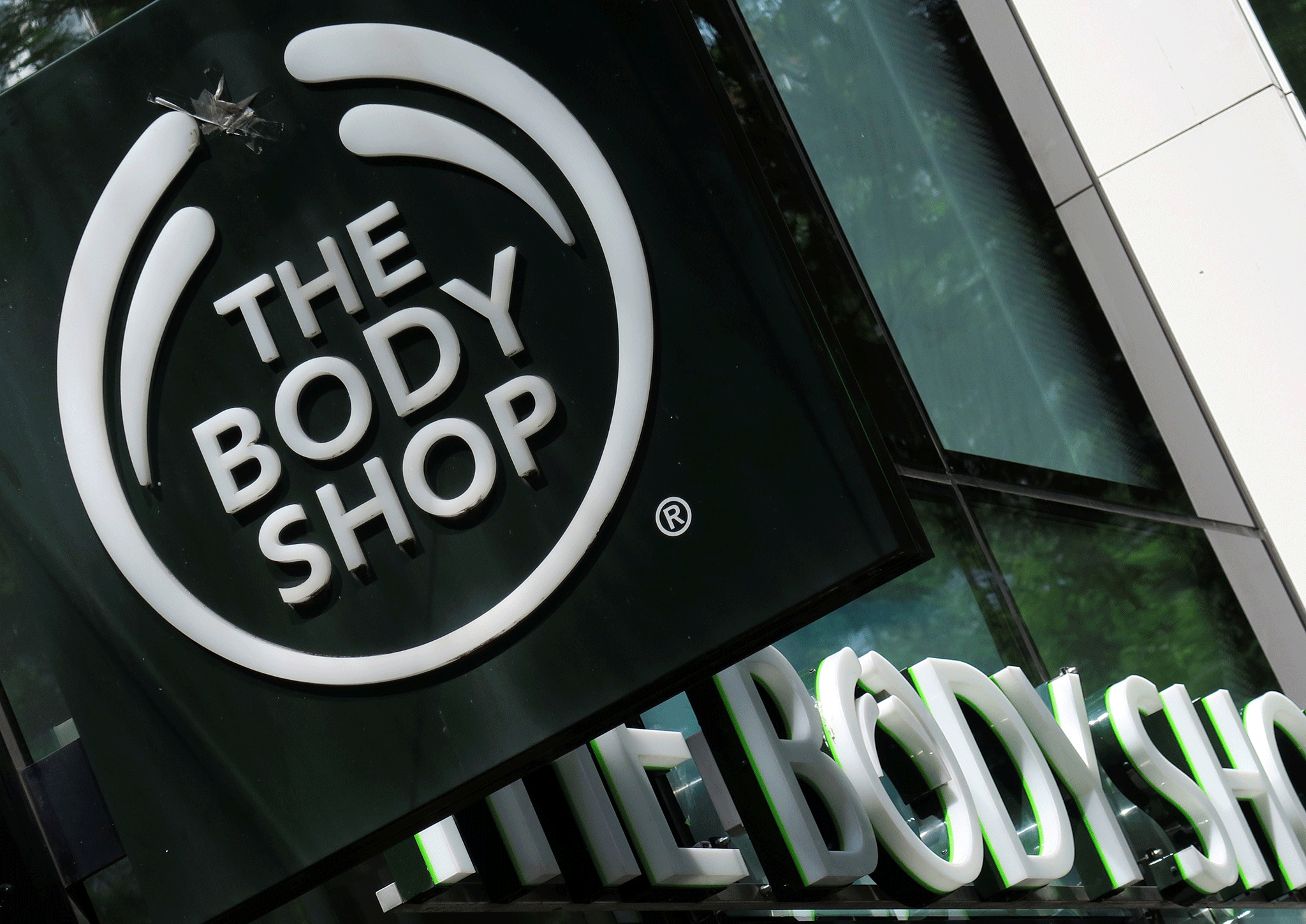 Body Shop announces £2m 'bio-bridges' scheme to protect endangered ...
