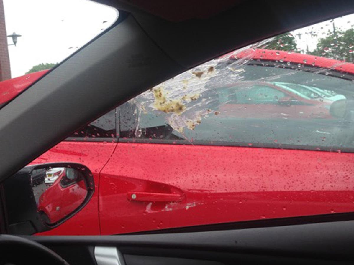 Bag of vomit thrown at Muslim woman's car in suspected hate crime | The ...
