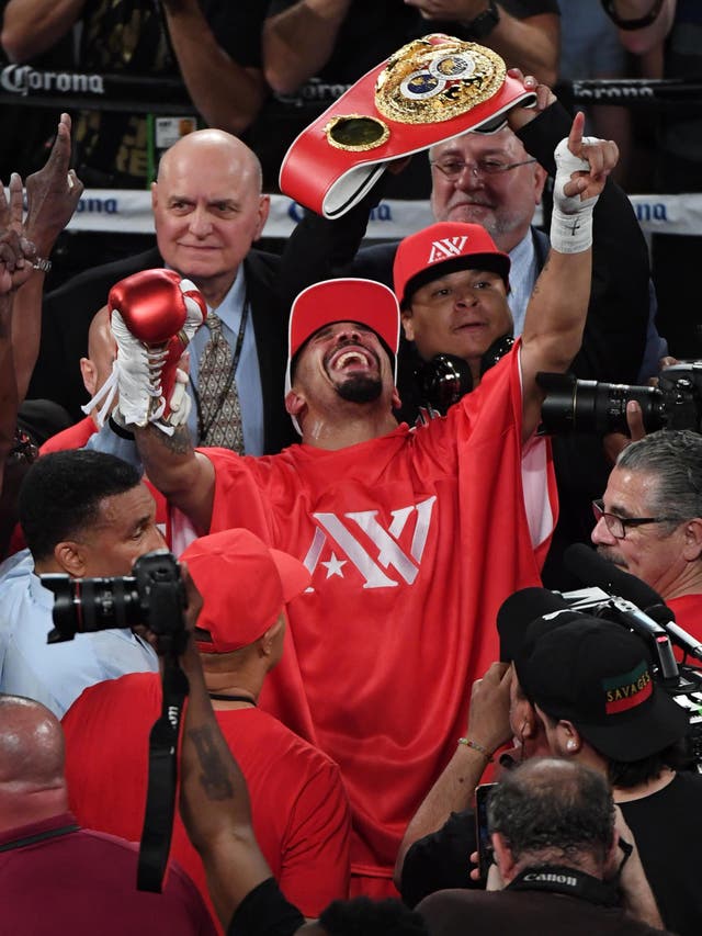 Andre Ward stops Sergey Kovalev in controversial circumstances to win ...