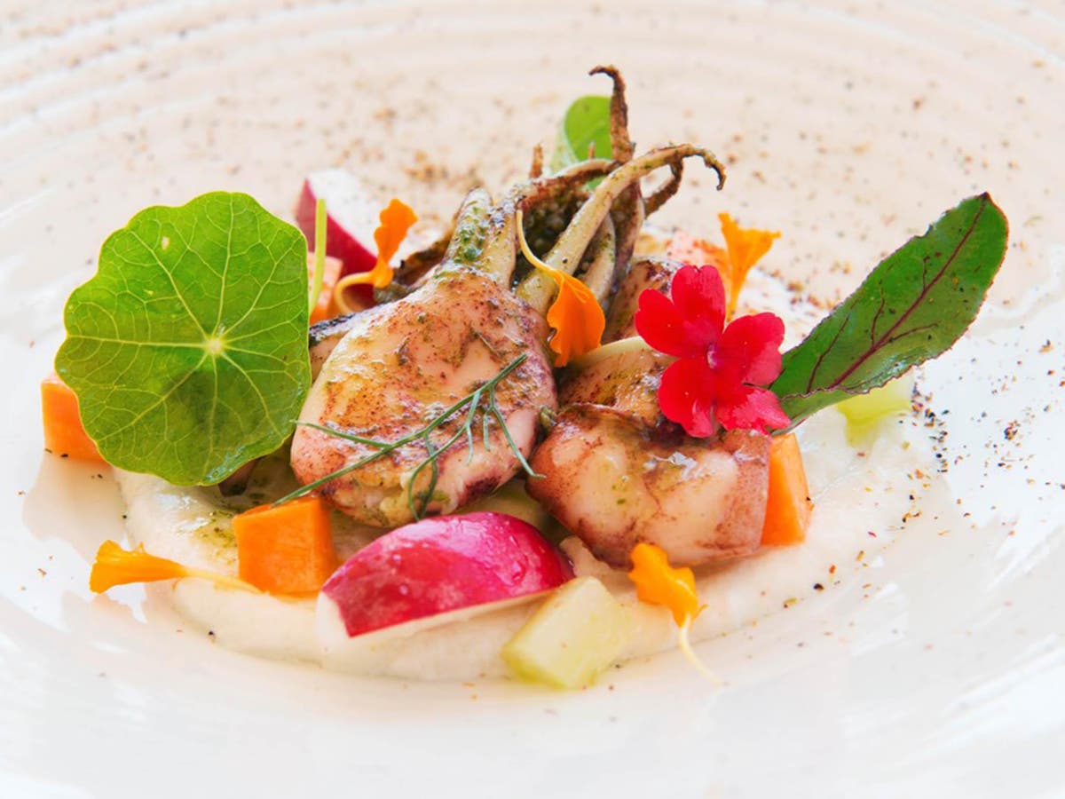 How to cook with squid: From frying it to serving it with tagliolini ...