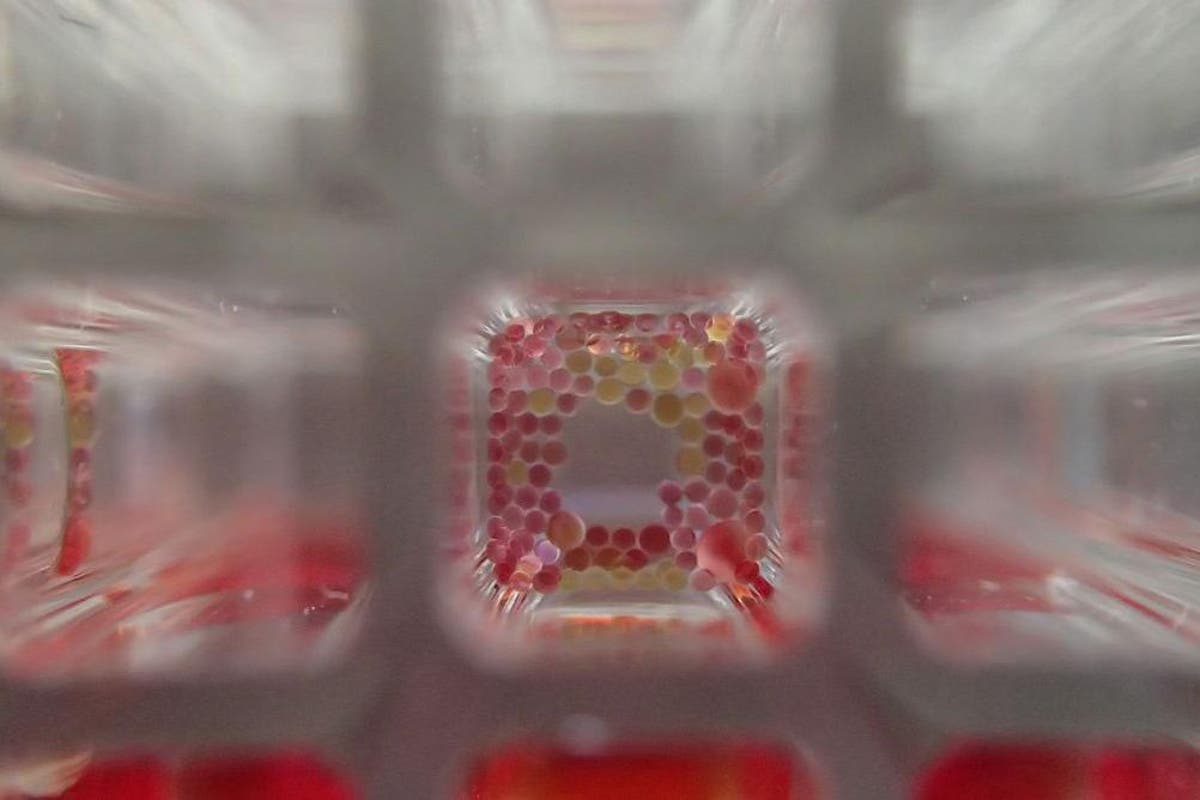 Tiny 'micro drop' chemical reactors are helping to revolutionise ...