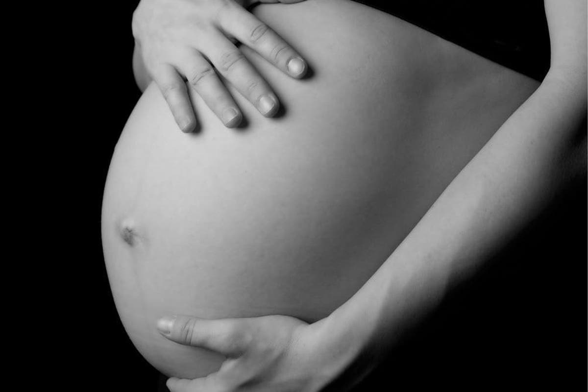 Medical law expert on womb transplants, unisex pregnancy, and the ...