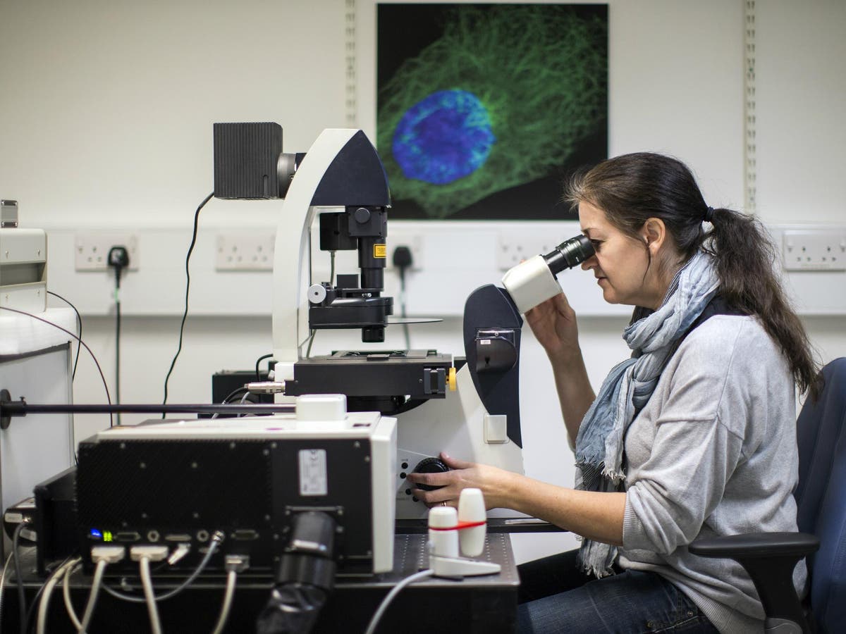 Britain lagging behind Europe in diagnosing and treating cancer, report ...