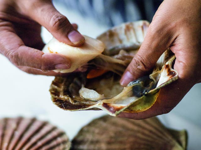 How to open scallops | The Independent | The Independent
