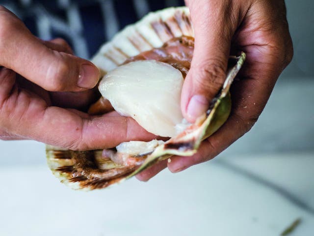 How to open scallops | The Independent | The Independent