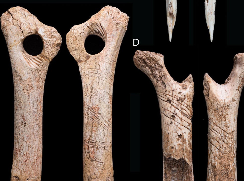 Cannibals who once lived in Somerset cave engraved human bones as part ...