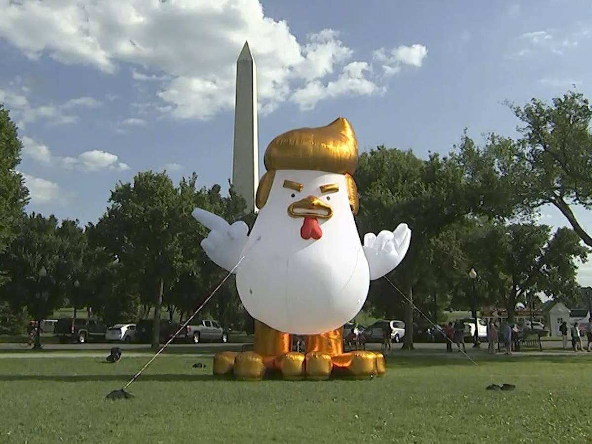 Inflatable Donald Trump chicken rules the roost in Washington | The ...