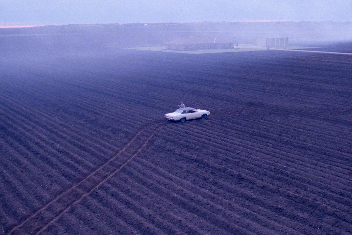 Blood Simple: Director's Cut to screen in UK cinemas for first time ...