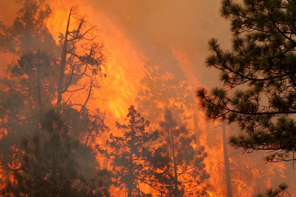 Solar eclipse 2017: Fire brigades on high alert amid fears event could ...
