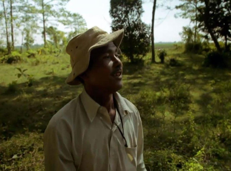 This man saved his island and planted a forest - one tree a day for ...