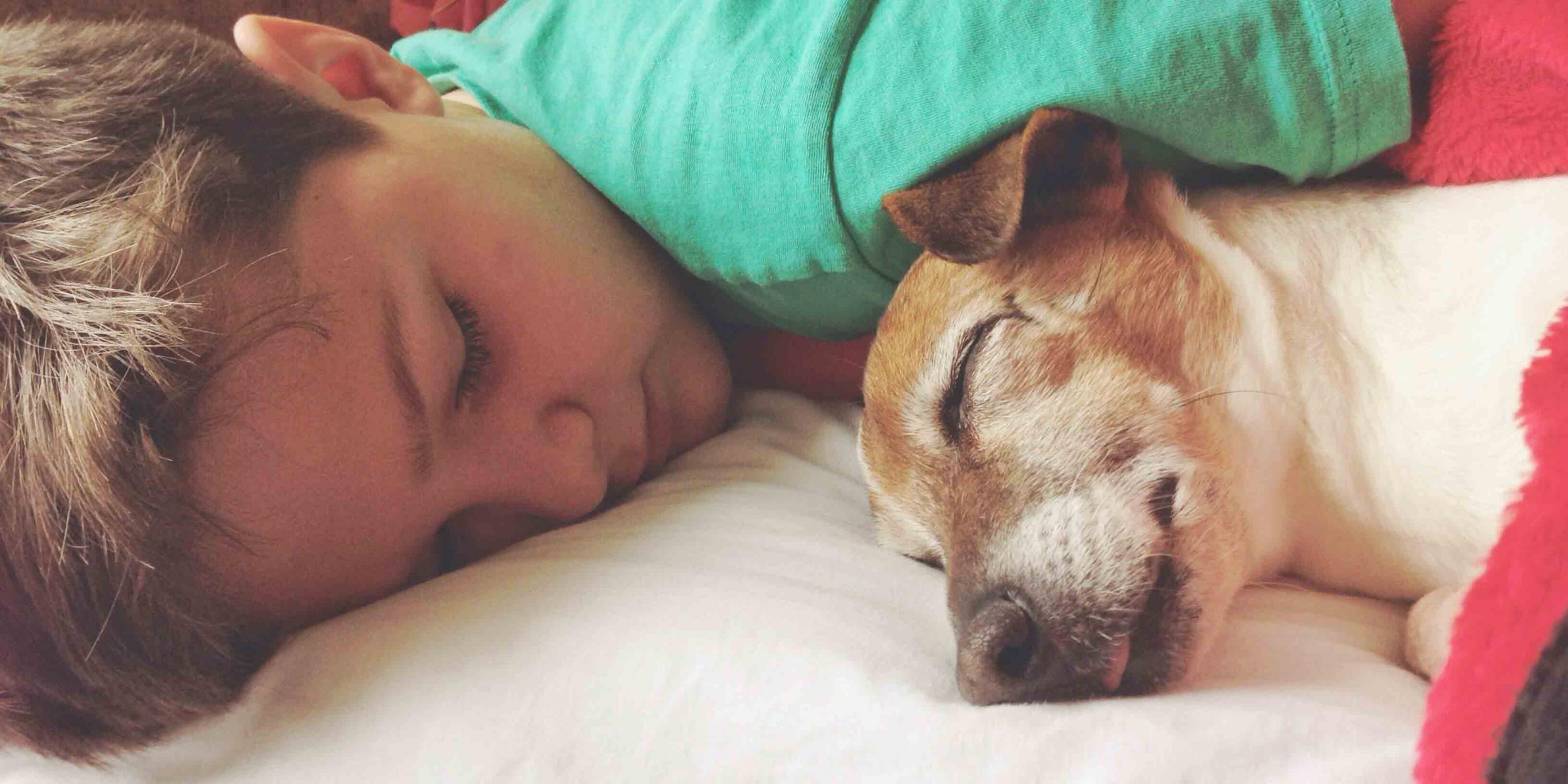 Why letting your pets sleep on your bed can help you sleep better ...
