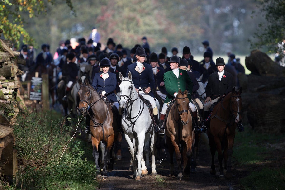 Hundreds of illegal hunts took place in British countryside last autumn ...
