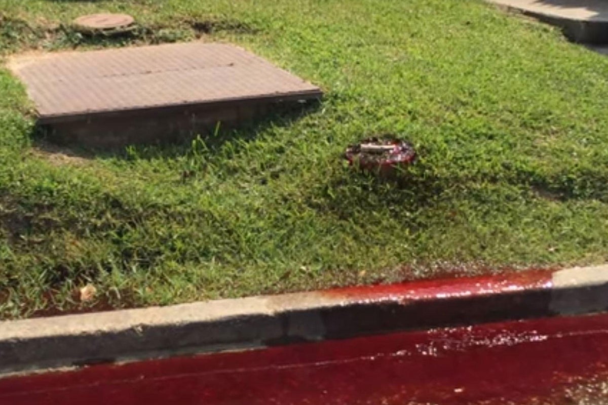 Blood and embalming fluid seeps onto street outside Baton Rouge funeral ...