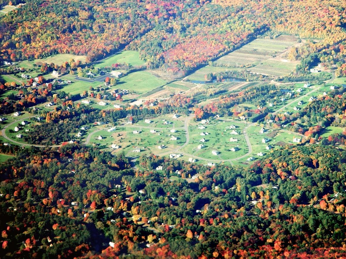 New England’s forests famous for their fall colours are shrinking 65 ...