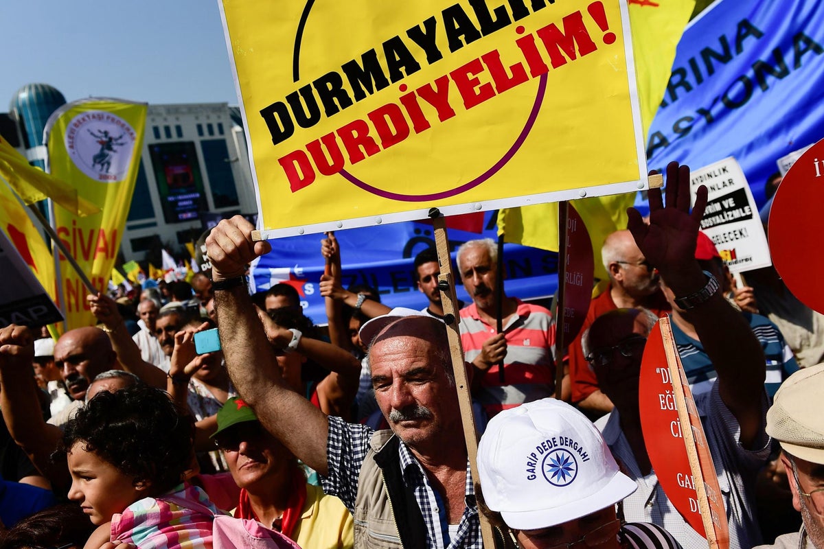 Turkey drops theory of evolution from national curriculum as children ...