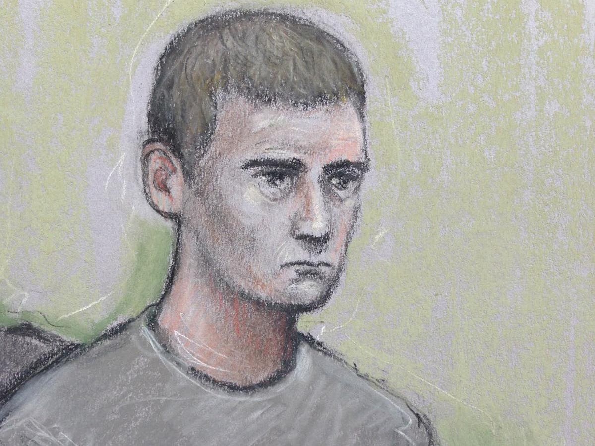 Aaron Barley: Homeless man pleads guilty to murder of mother and son ...