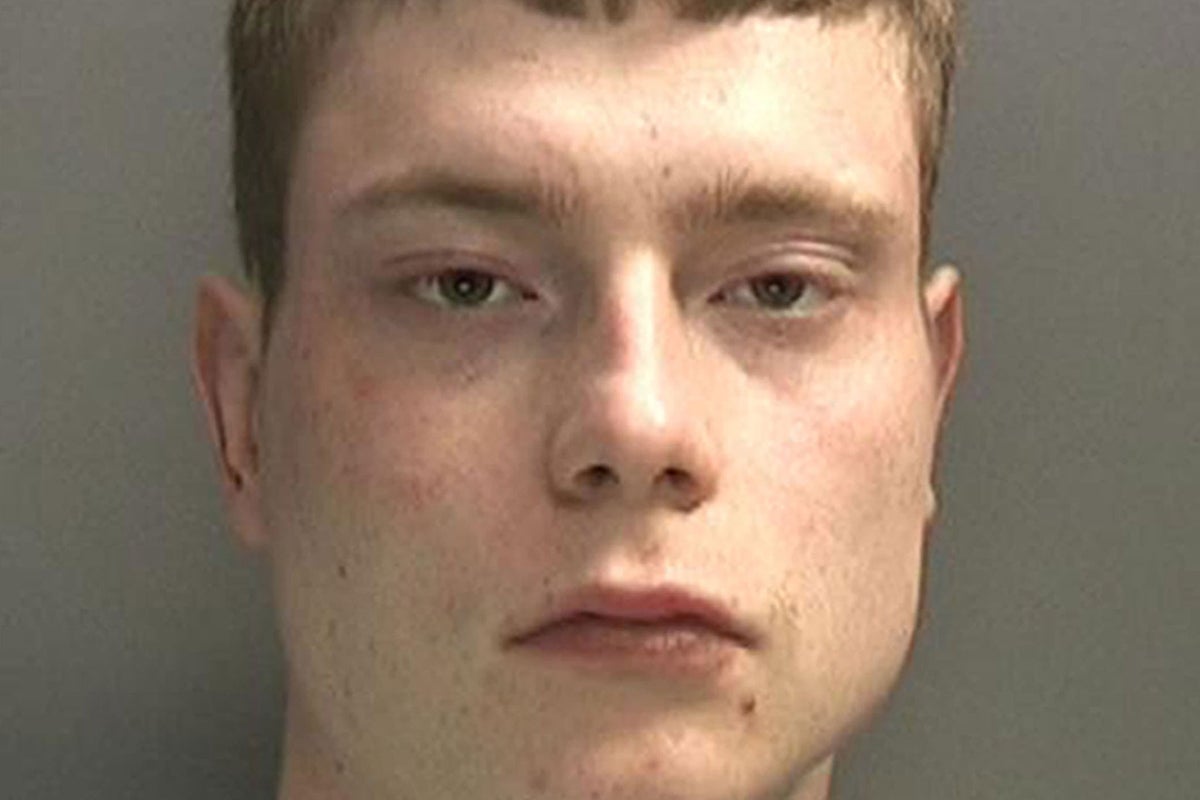 Aaron Barley: Homeless man who murdered woman and son who took him in ...