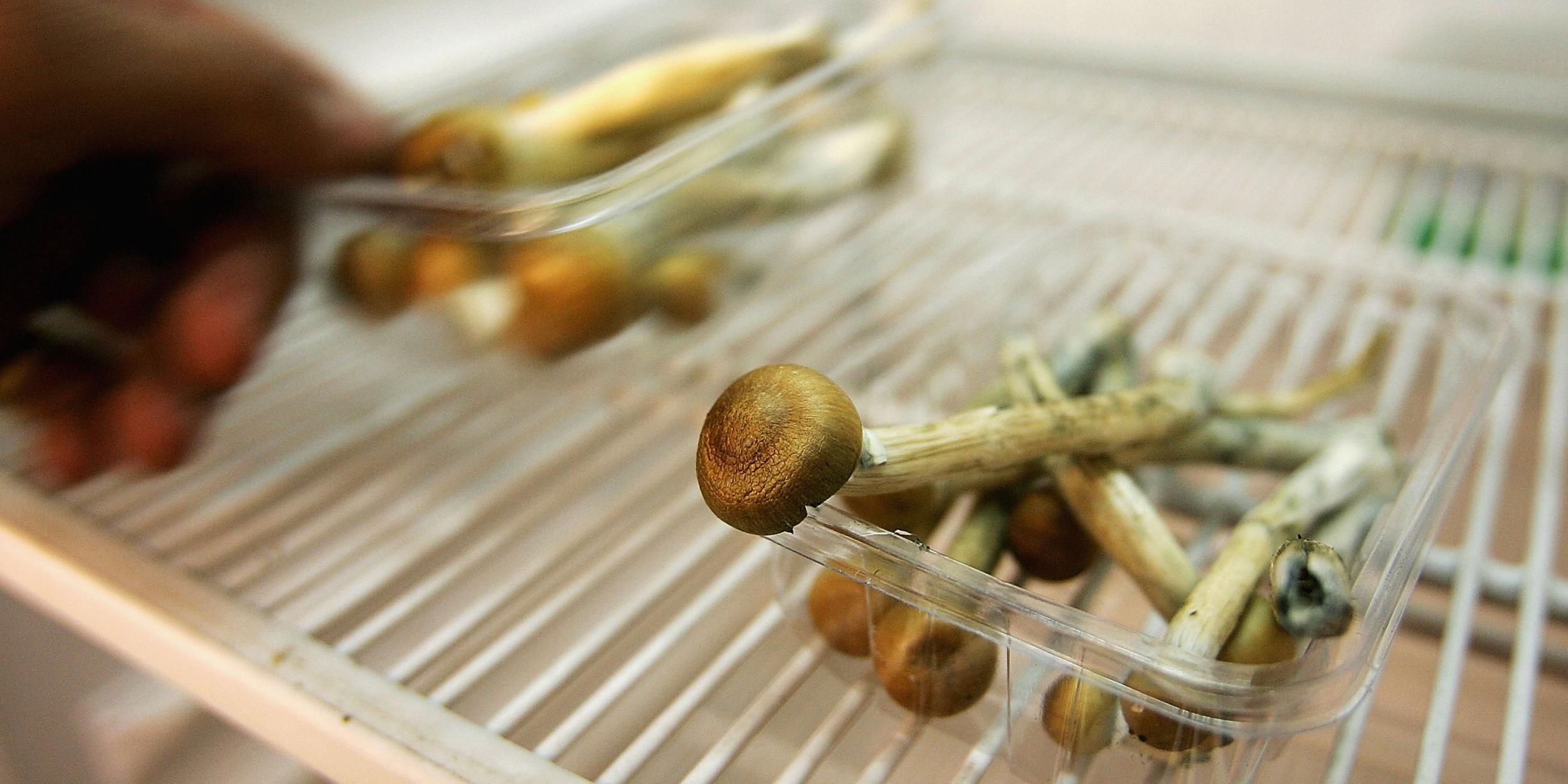 How magic mushrooms could 'reset' people with depression | indy100 ...