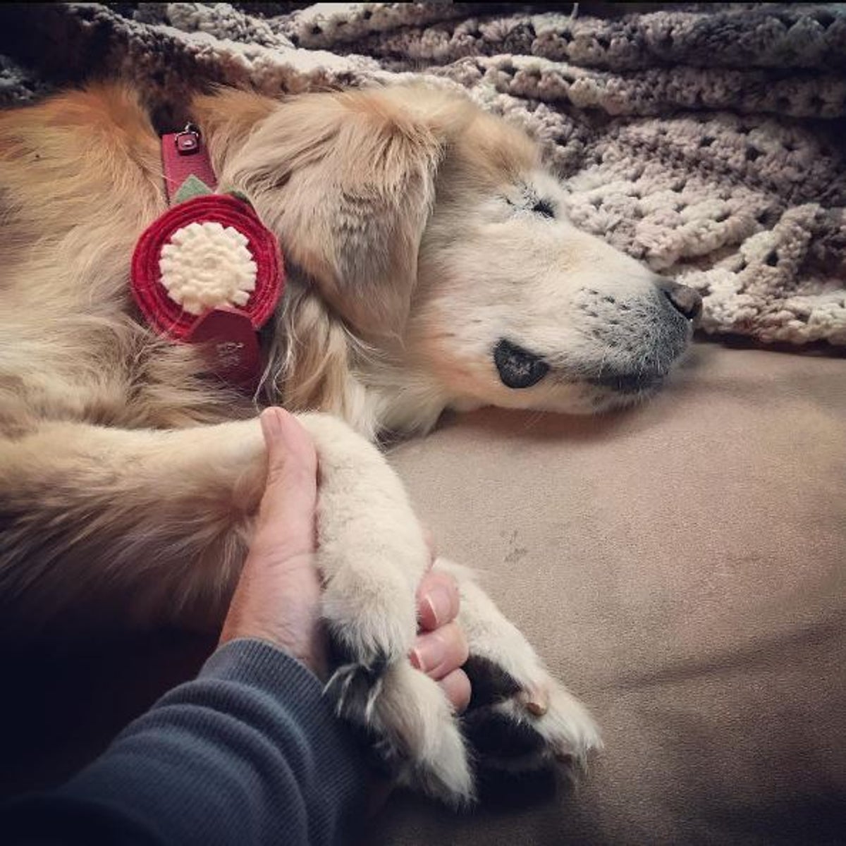 Smiley The Blind Leading Blind