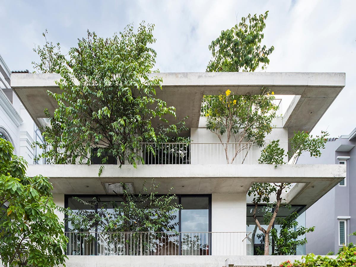 House for Trees: The amazing homes in Vietnam where plants grow through ...