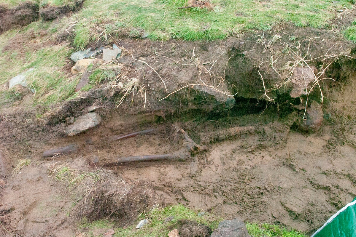 Storm Ophelia unearths ancient skeleton with skin still attached after ...