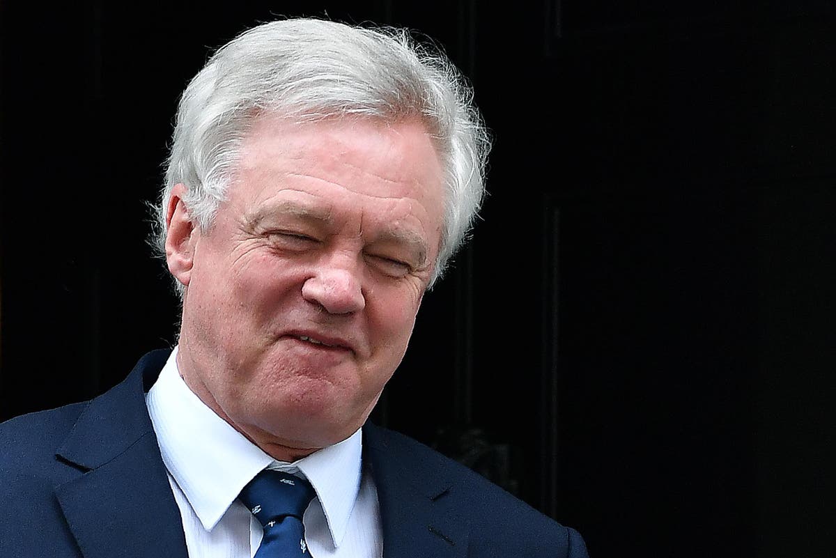 David Davis in climbdown as he says ministers 'expect and intend' MPs ...