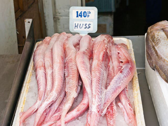 What’s the catch: Can we really tackle industrial fishing? | The ...