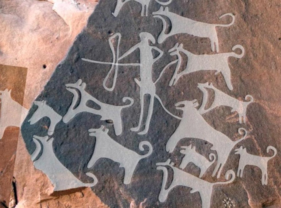 First known pictures of domestic dogs discovered after being carved ...