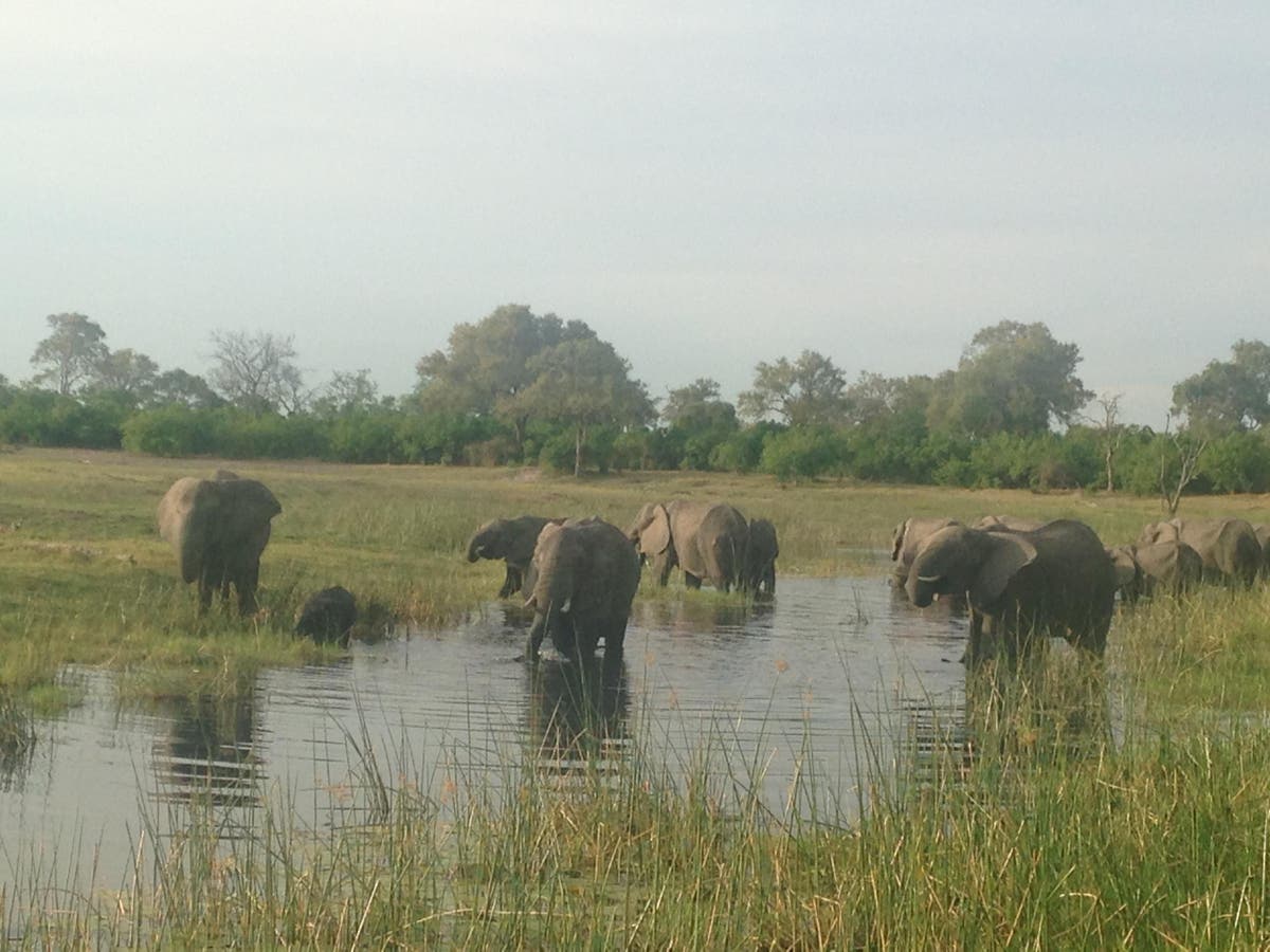 How Botswana is shaping the future of sustainable travel | The ...