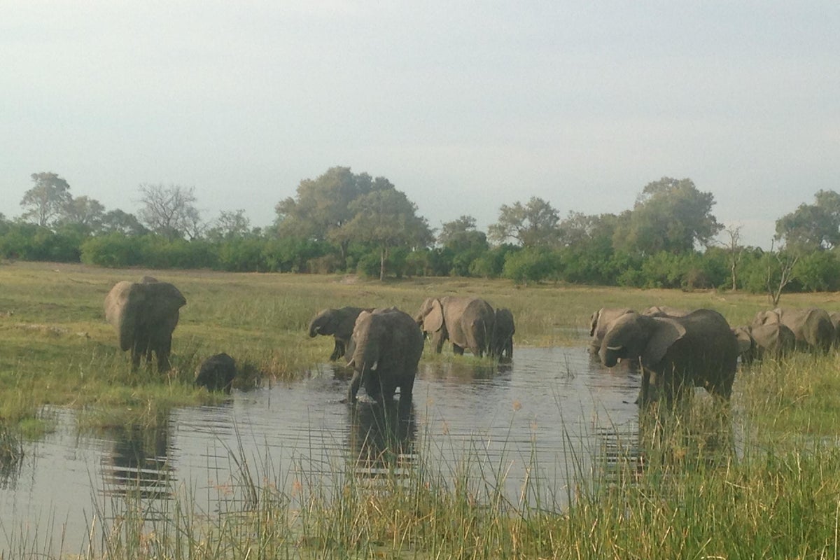 How Botswana is shaping the future of sustainable travel | The ...