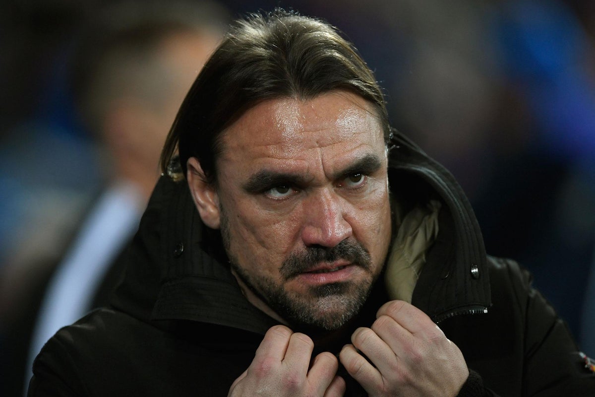 Norwich manager Daniel Farke facing player revolt over training methods ...