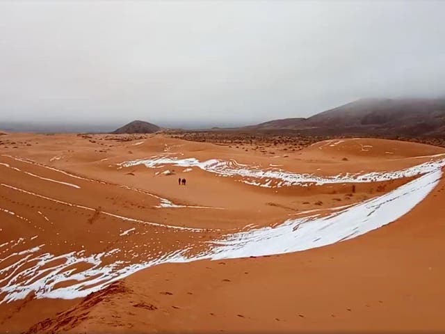Snow falls in Sahara desert for third time in 40 years | The ...
