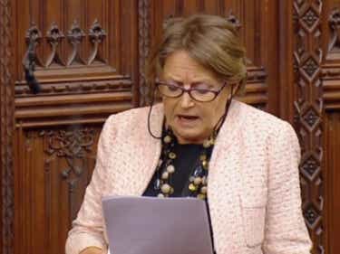 Baroness Jenkin - latest news, breaking stories and comment - The ...