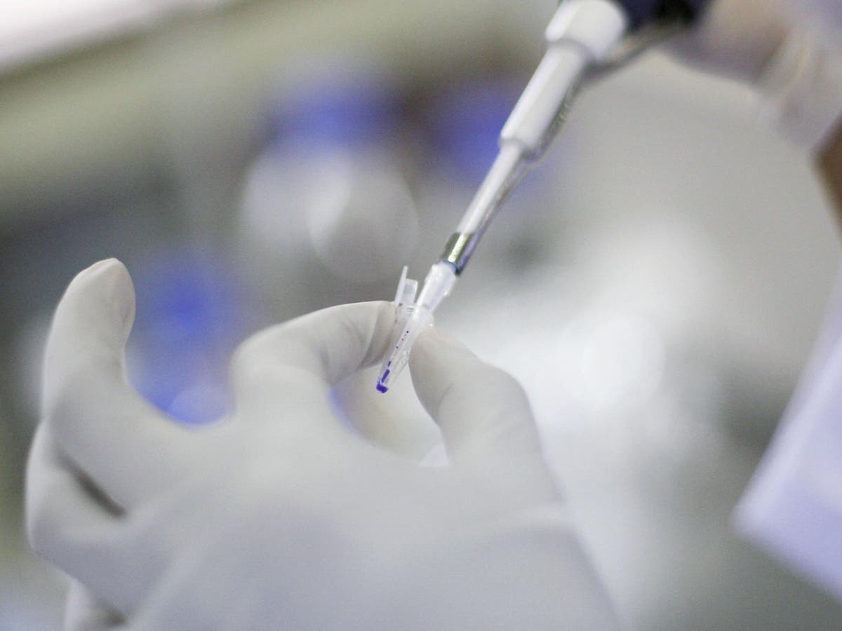 New herpes treatment could help where other drugs fail, say scientists ...