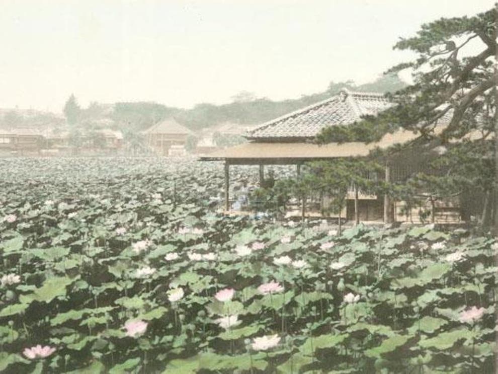 Amazing images of Tokyo before it was a city | The Independent | The ...