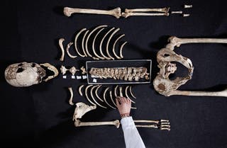 Cheddar Man: First modern Briton had 'dark to black' skin, DNA research ...