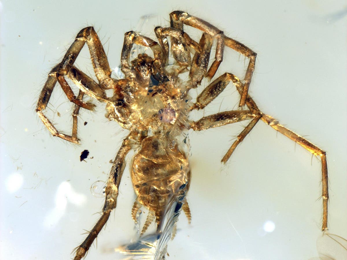 Science news in brief: Plants may have consciousness and how to say ...