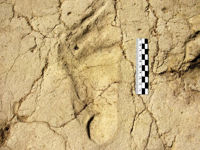 Ancient footprints reveal lifestyle of children 700,000 years ago | The ...