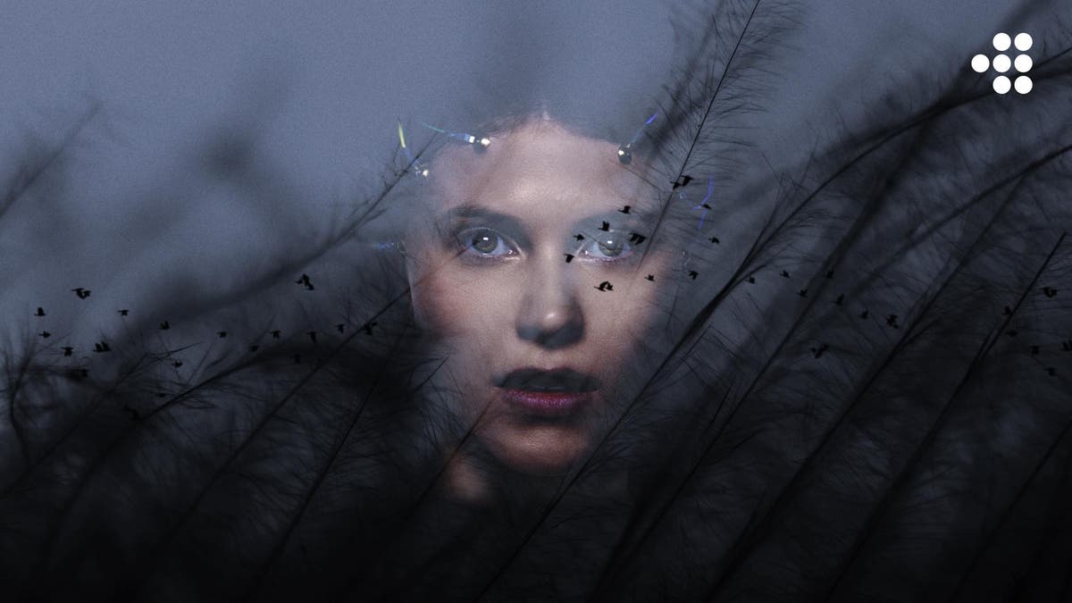 MUBI offers free subscription to film students around the world | The ...