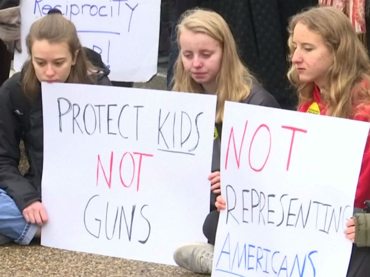 Top Florida Republican unveils gun control plan after Parkland school ...