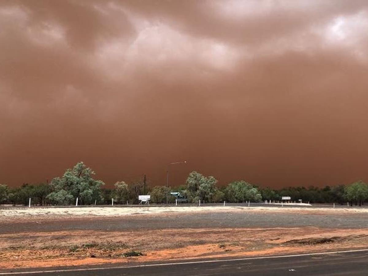 Dust storm leaves Australian town covered in film of orange | The ...