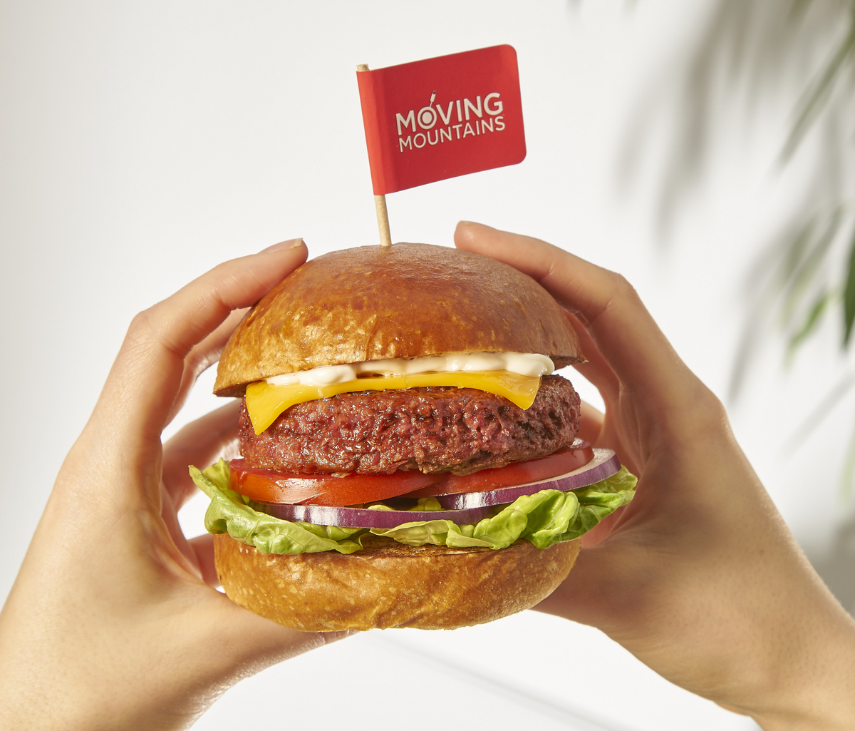 Rachel Eats Stuff: The UK's first meatless 'bleeding' burger | The ...